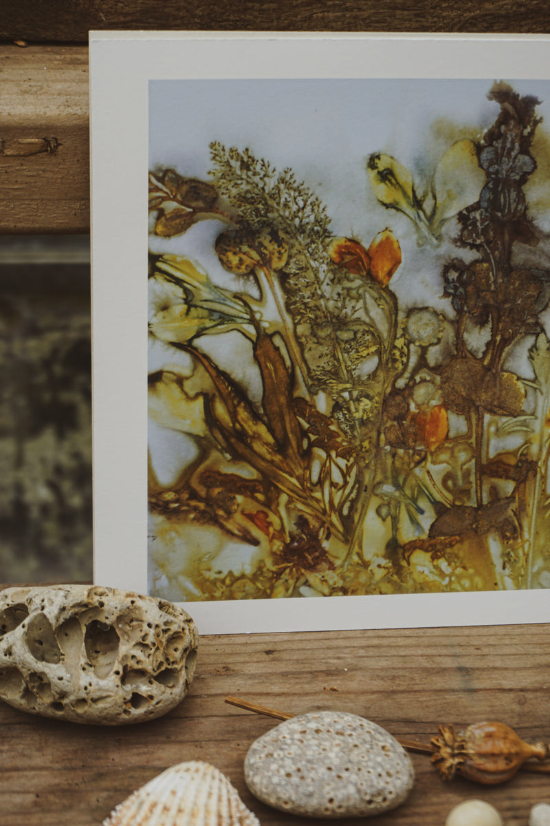 'Wildflower Meadow' Nature Art Print – Tissue box company